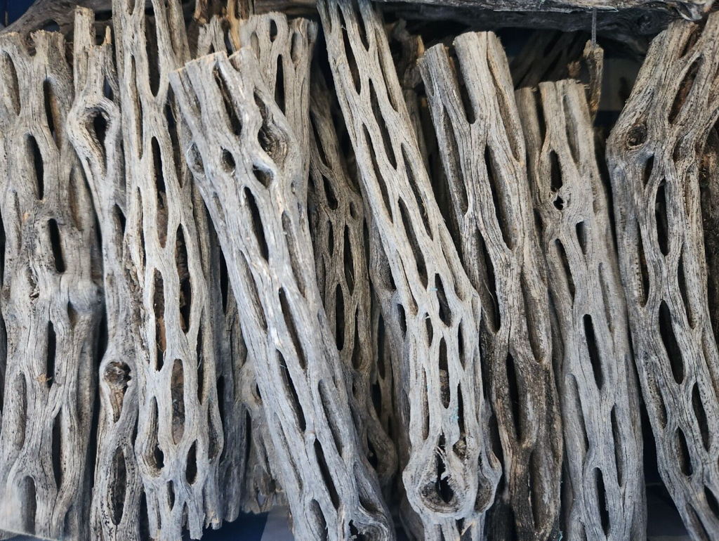 Cholla Driftwood Bulk For Sale