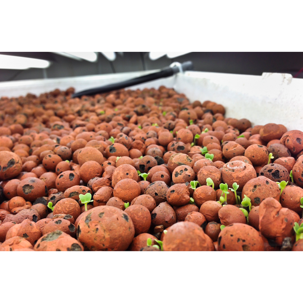 High Quality Hydroponic Expanded Clay Balls Sale Australia
